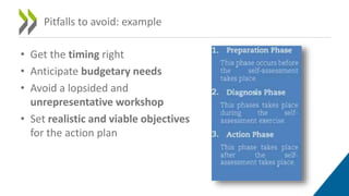 OECD Capacity Development Toolkit for Self-Assessment, OECD | PPT