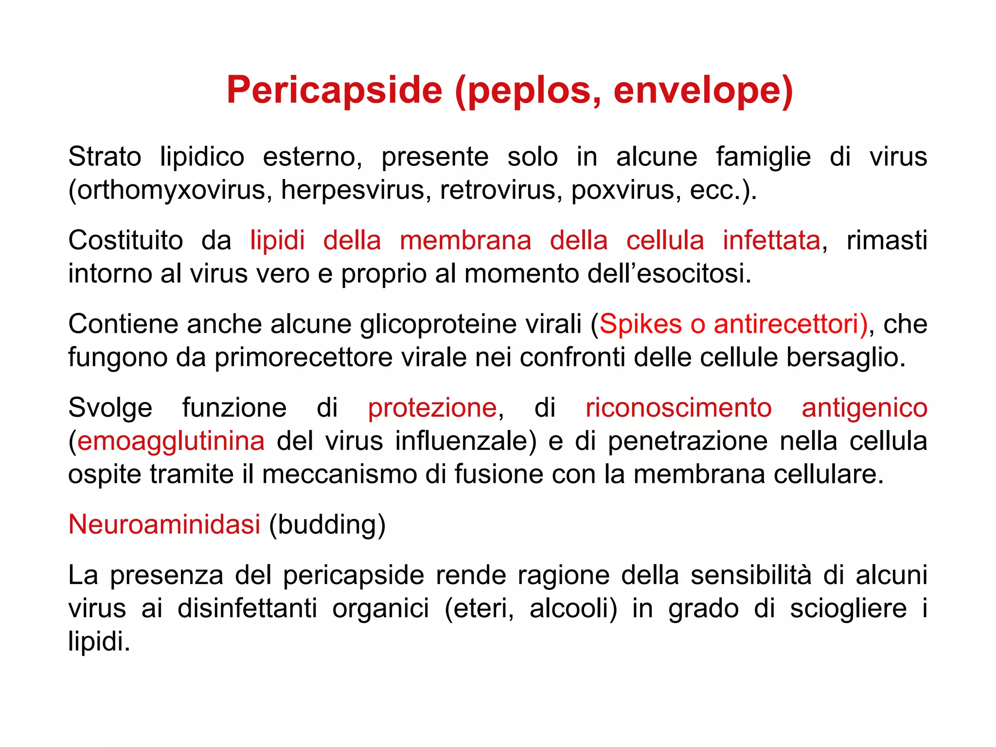 14 virus intro | PPT