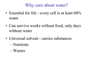 14 water | PPT