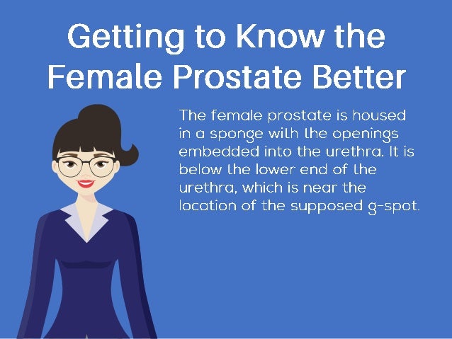14 Ways To Wow Her By Hitting Her Female Prostate