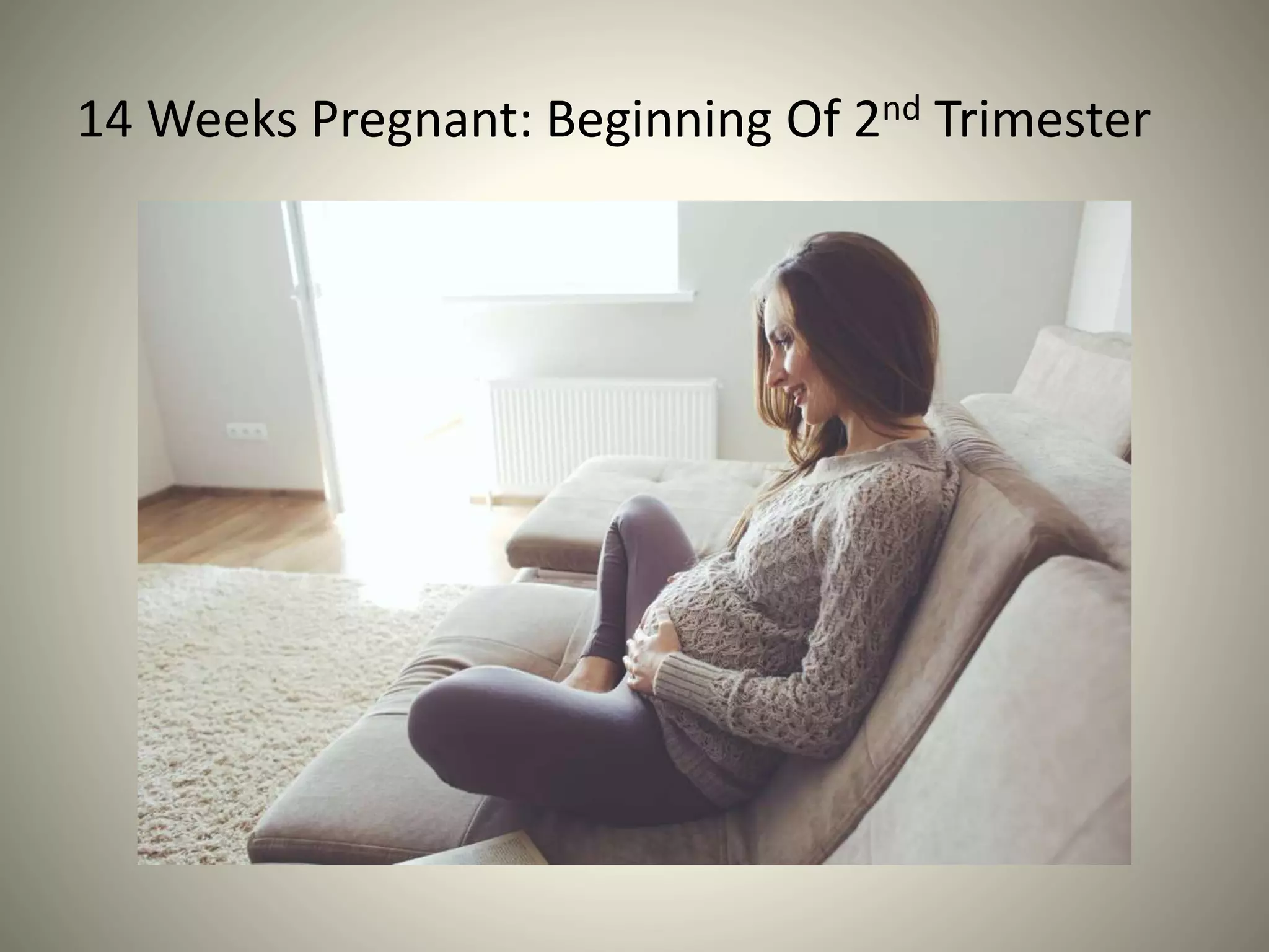 14 Weeks Pregnant: What to Expect | Pregnancy Week By Week | PPT