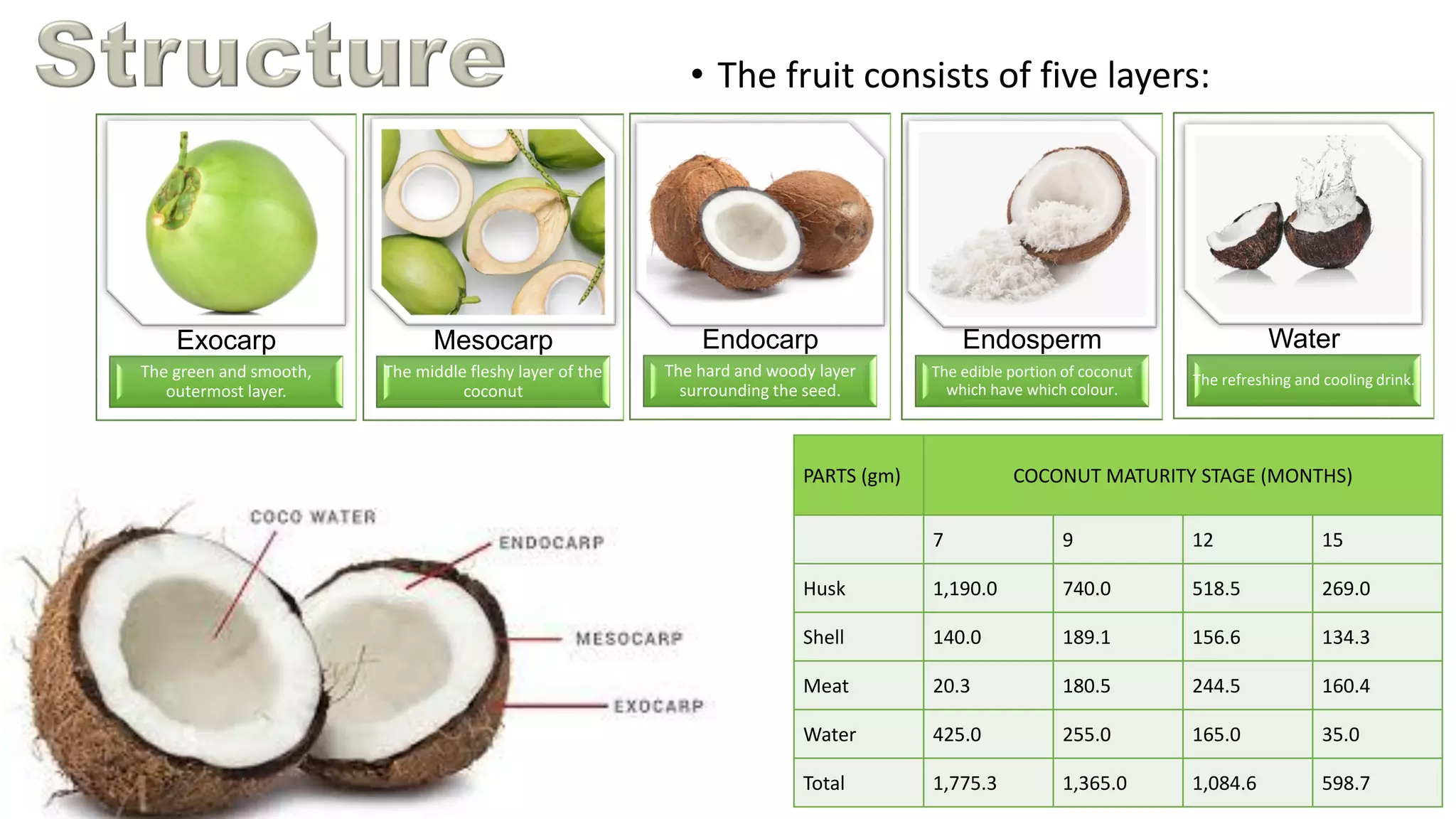 PROCESSING OF COCONUT MILK. tejasft | PDF