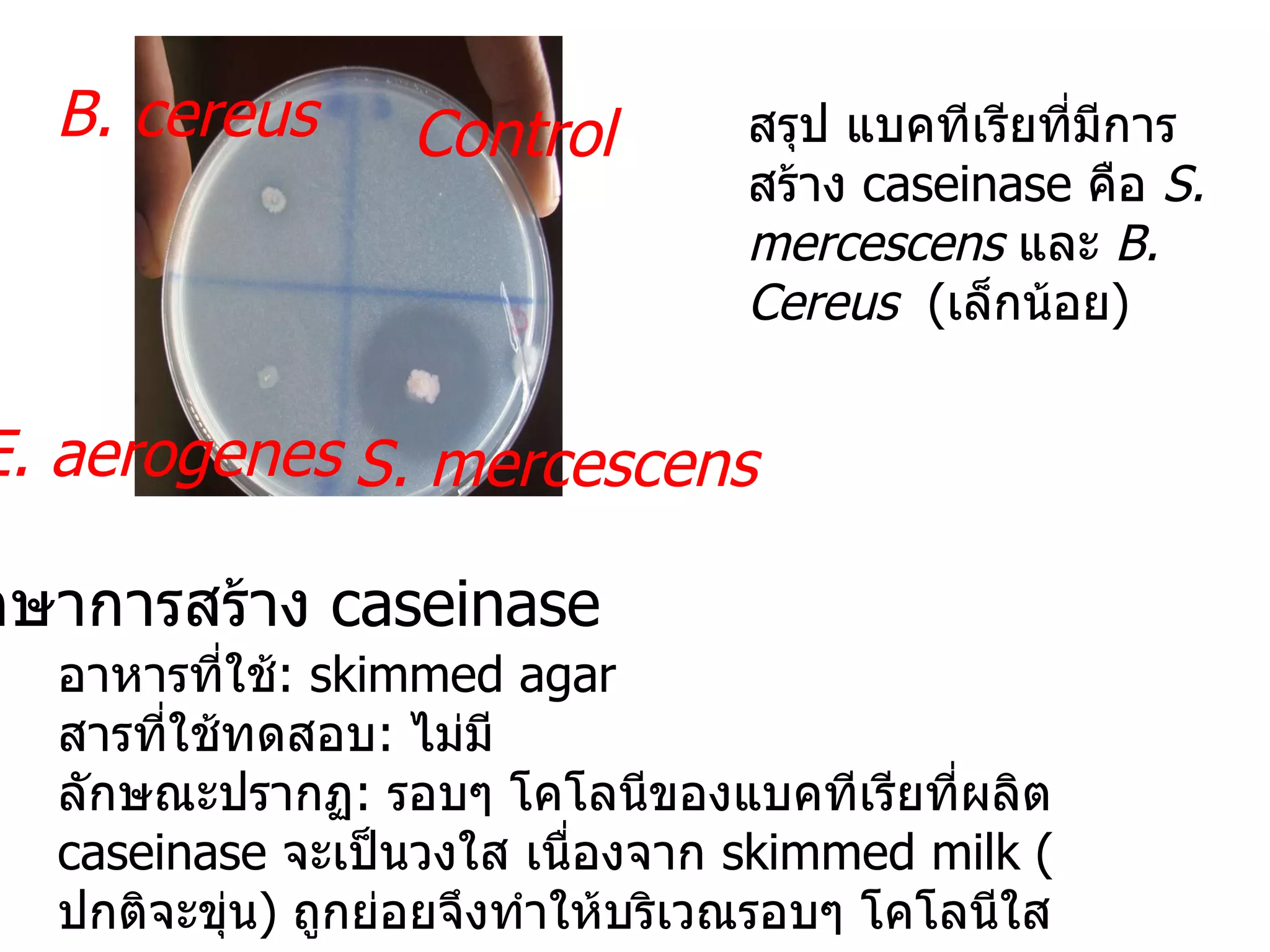 ผลการทดลองบทที่ 15 | PPT