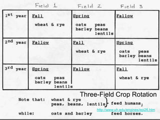 Medieval Europe | PPT