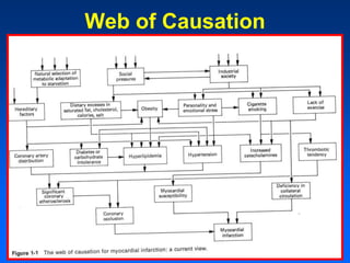 Association to Causation | PPT