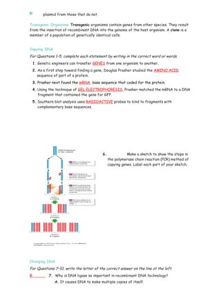 15.1 3 study guide ans | RTF | Genetics | Science