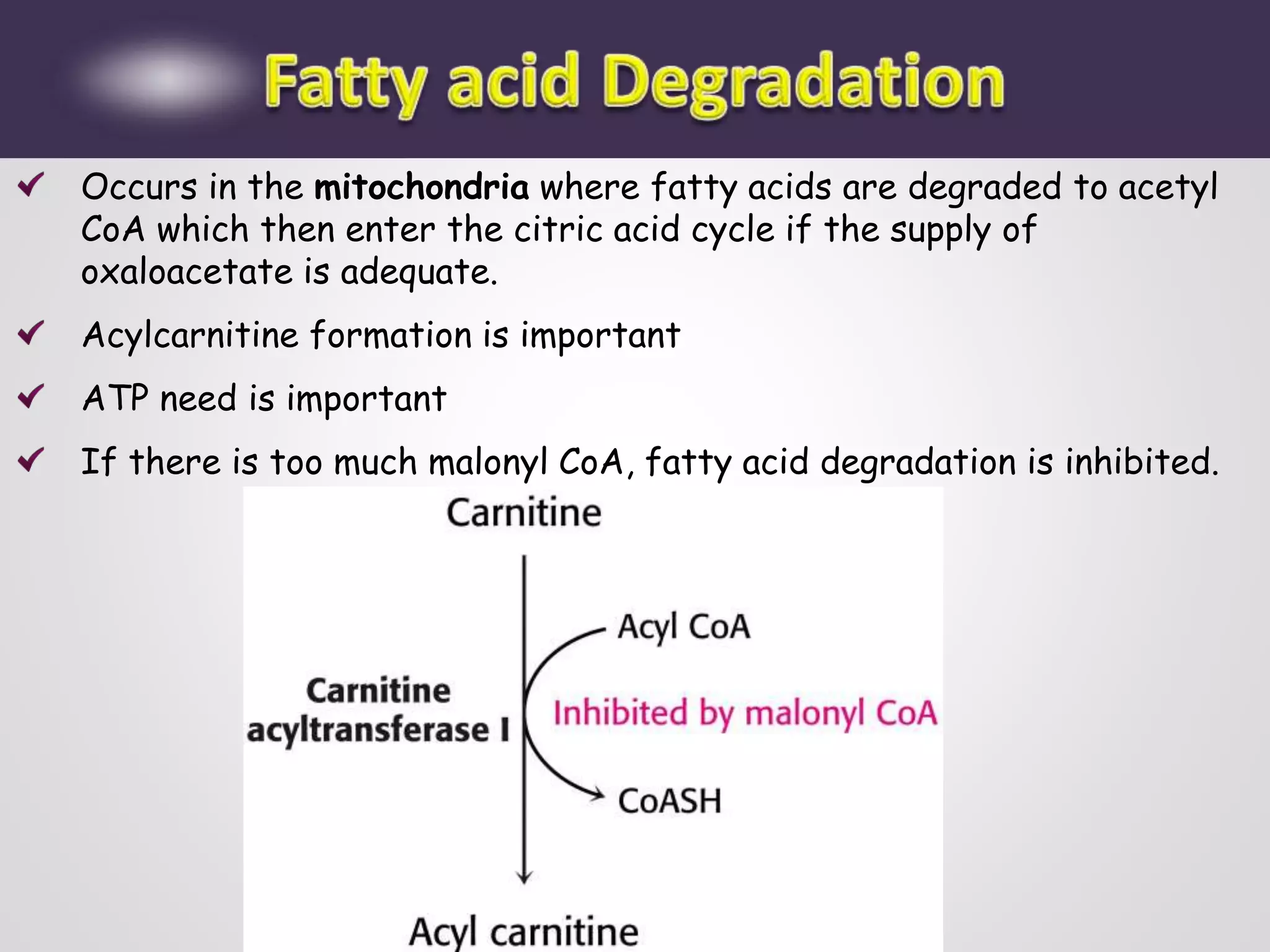 Integration of Metabolism | PPSX