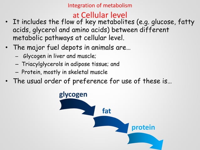 Integration of Metabolism | PPSX