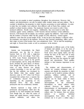 Bacteria Report | DOCX