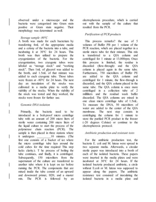 Bacteria Report | DOCX