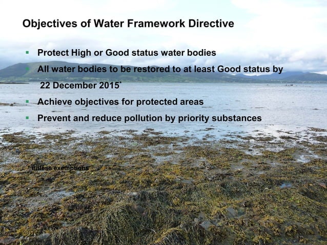 15. Licensing of Large Point Source Discharges | PDF