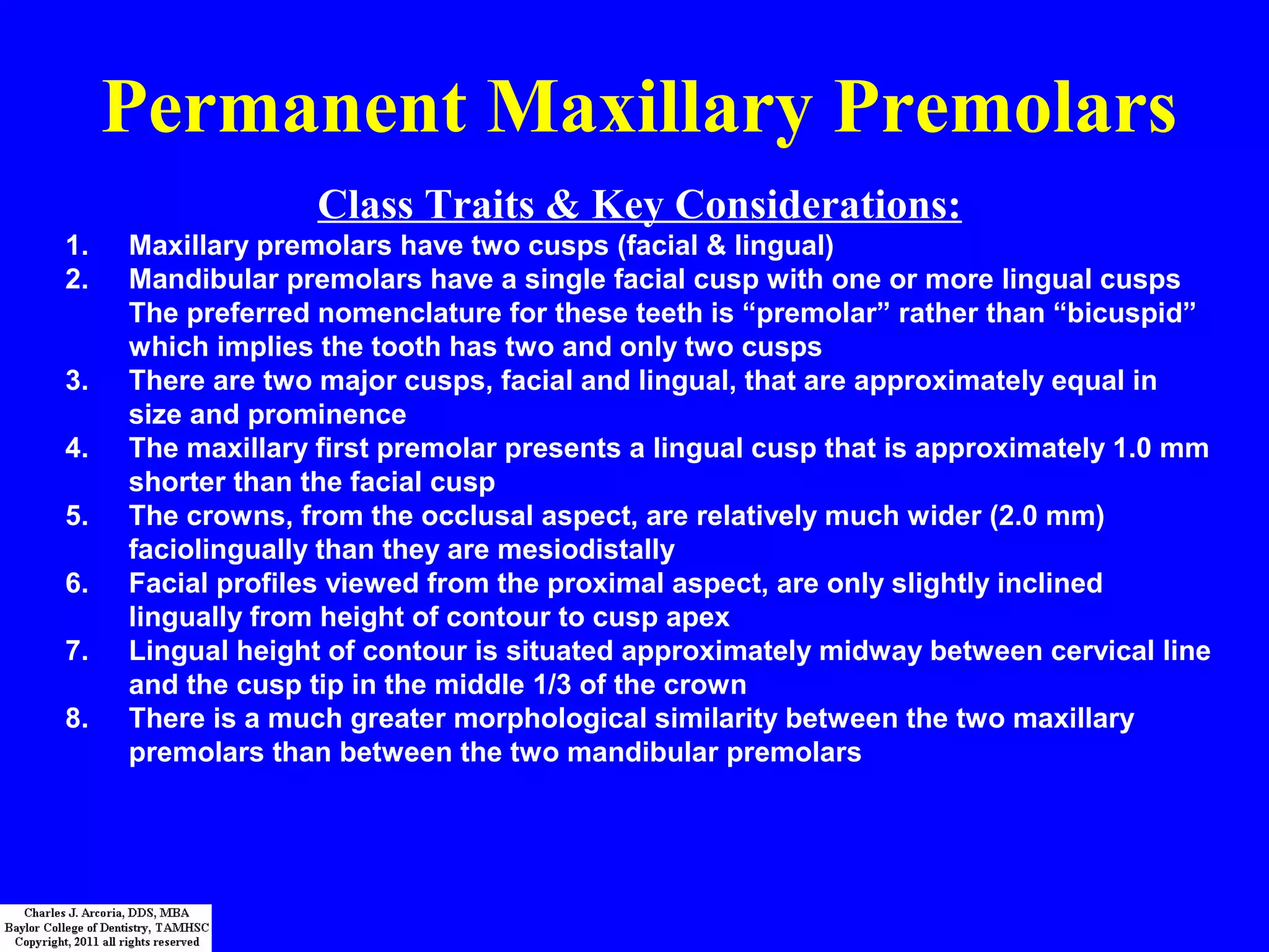 15 16-maxillary-premolars-20 | PPT