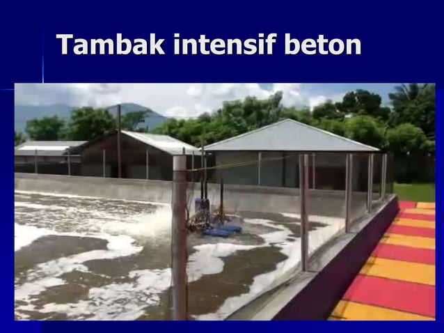 15. budidaya udang di tambak | PPTX