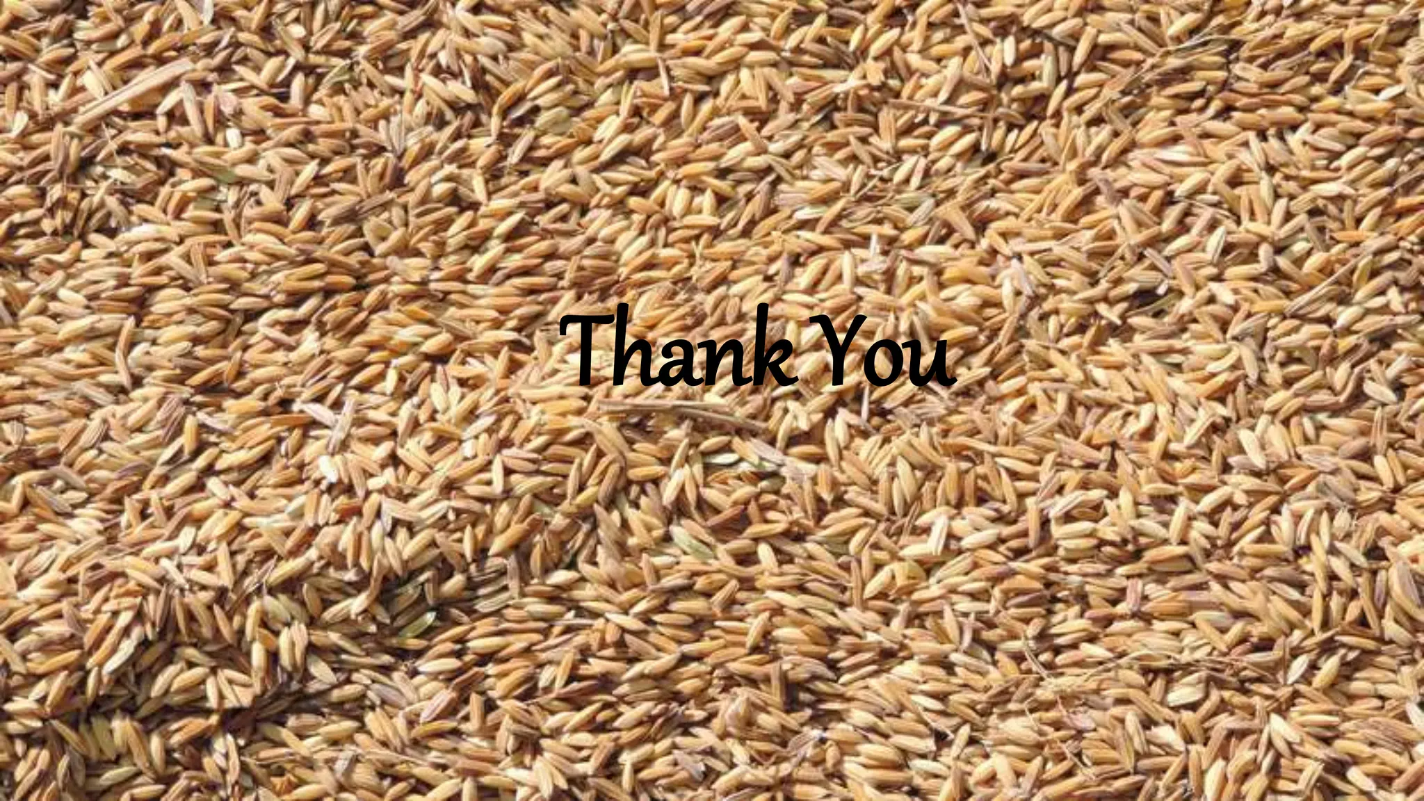 15. COSOP 2013-18 Recommendations | PPTX