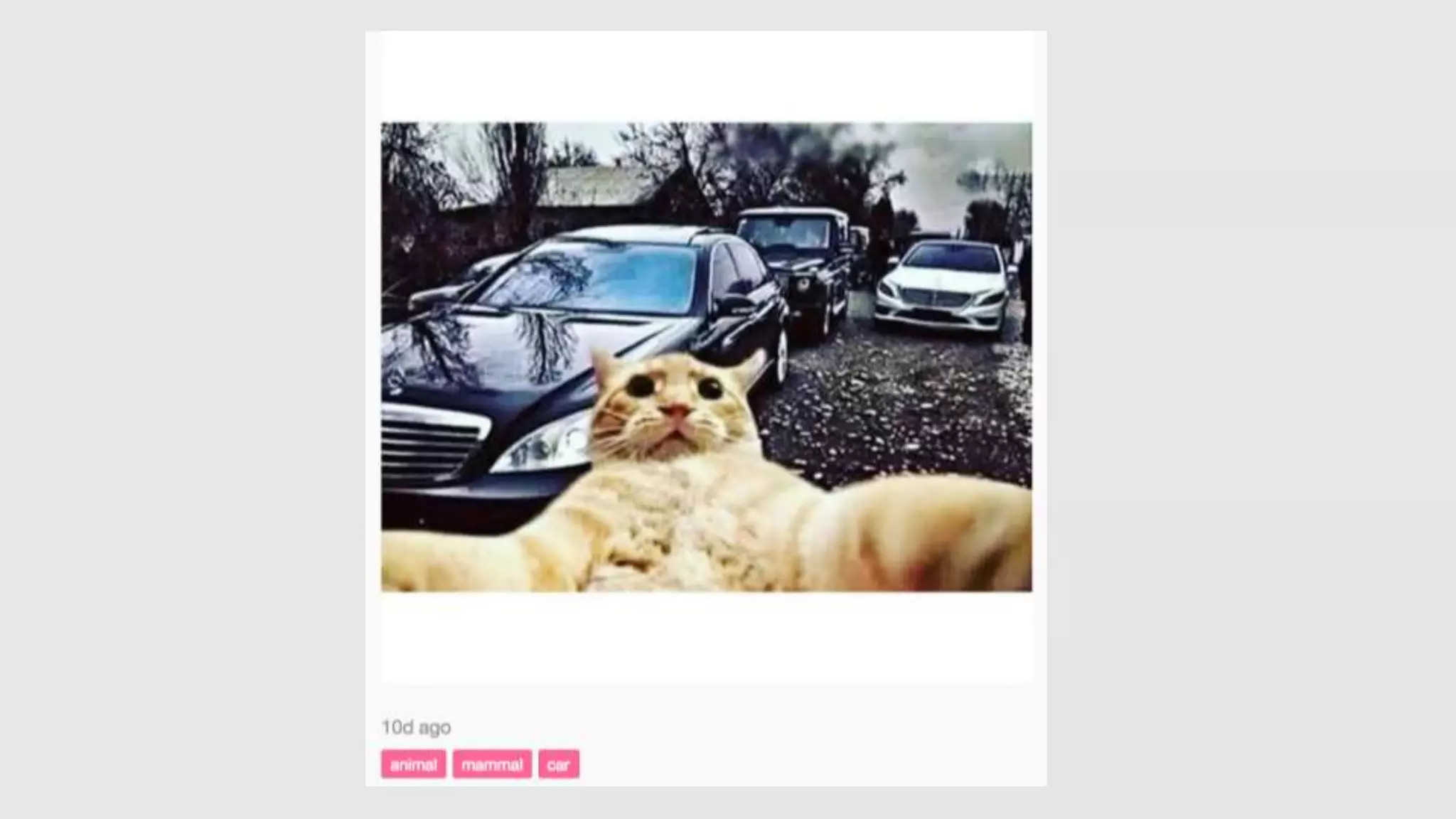 The Visual DNA Of Car Brands In Social Media | PPT