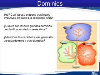 15. taxonomia | PPTX