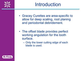 15 16 And 17 18 Gracey Fohf | PPT
