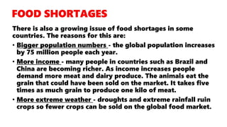 GEOGRAPHY YEAR 10: THE GLOBAL FOOD INDUSTRY | PPTX