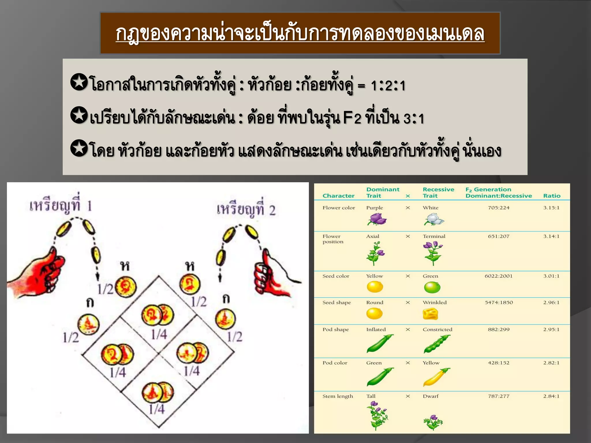 บทที่ 15 การถ่ายทอดทางพันธุกรรม Pdf