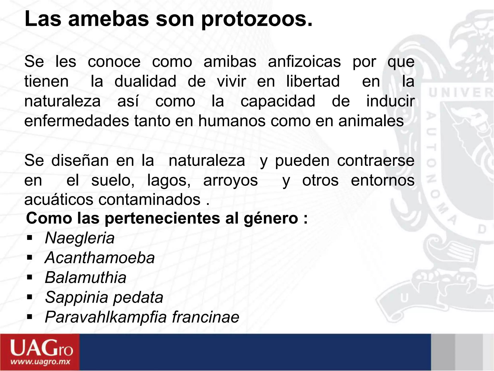 microbiologia-i-amebas-de-vida-librecon-potencial-patiogeno.- | PPT