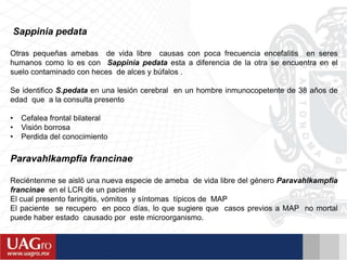 microbiologia-i-amebas-de-vida-librecon-potencial-patiogeno.- | PPTX