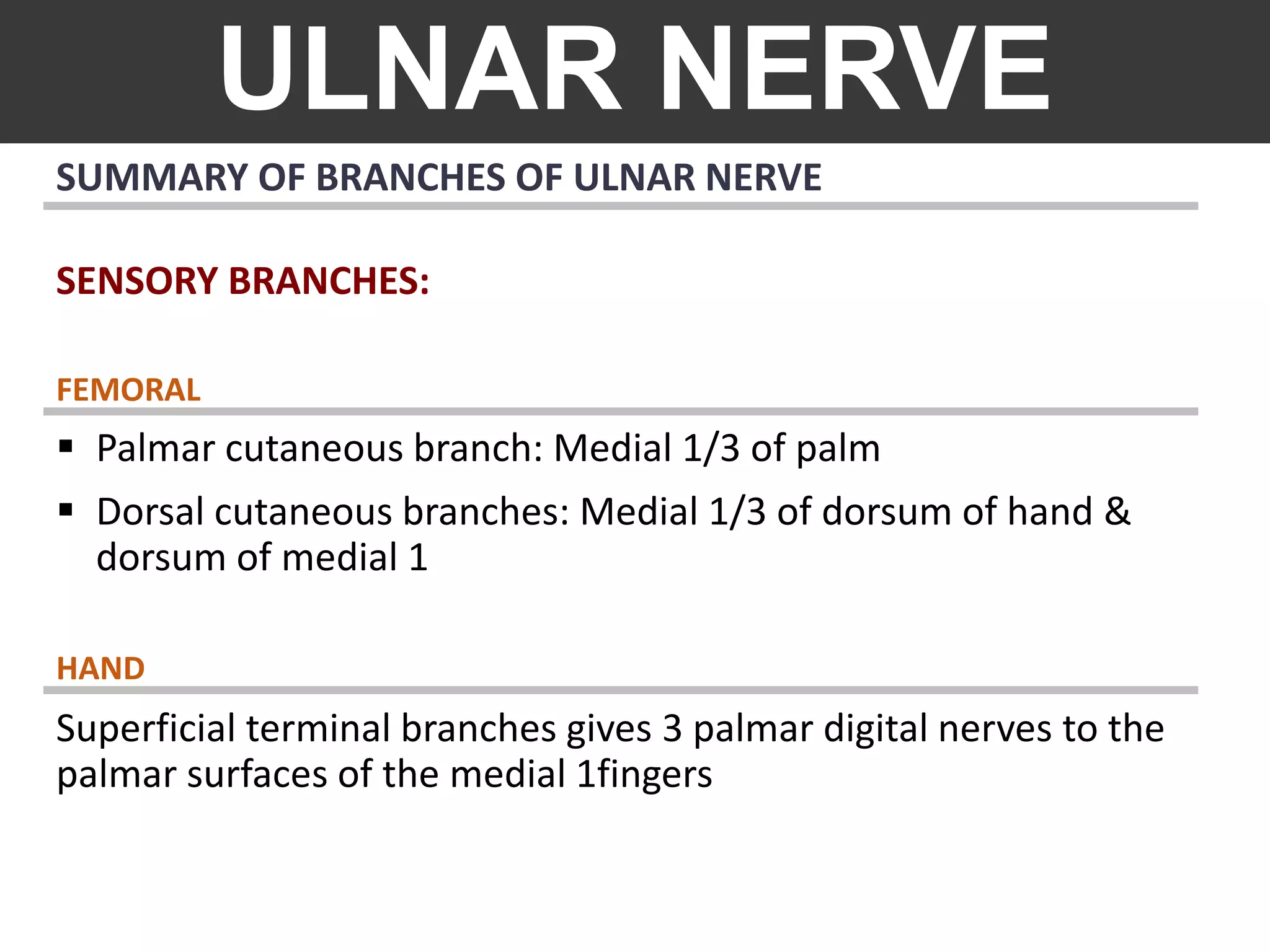 Peripheral Nerve Injuries | PPTX