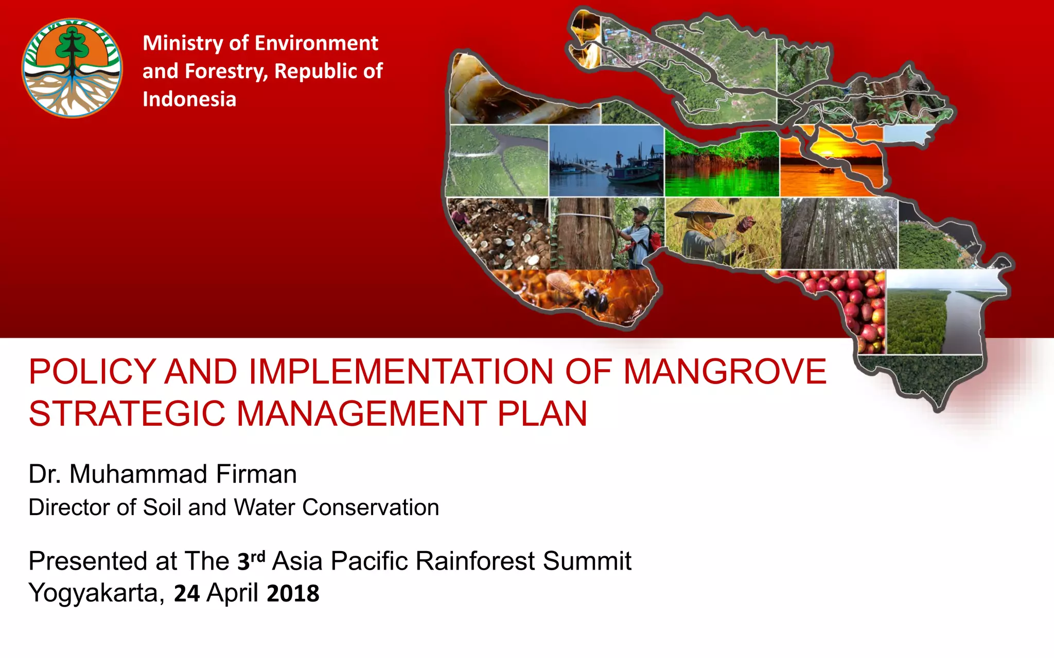 Policy and implementation of mangrove strategic management plan | PDF