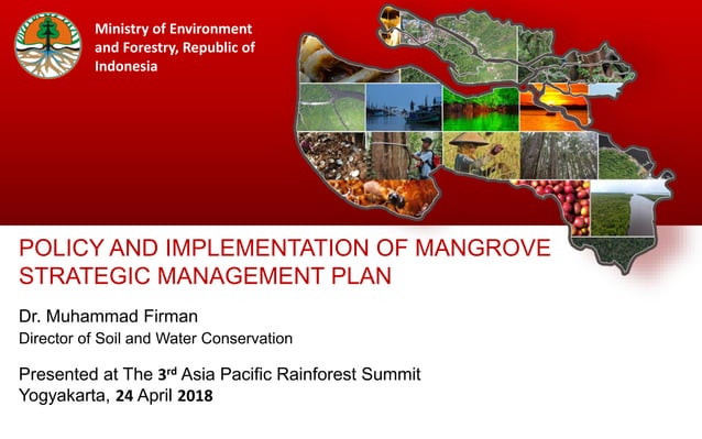 Policy and implementation of mangrove strategic management plan | PPT