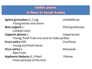 Ethnobotany | PPT