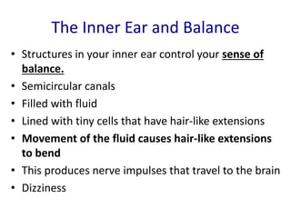 15.3 lecture 2019 | PPT