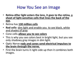 15.3 lecture 2019 | PPT
