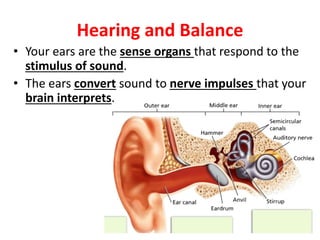 15.3 lecture 2019 | PPT