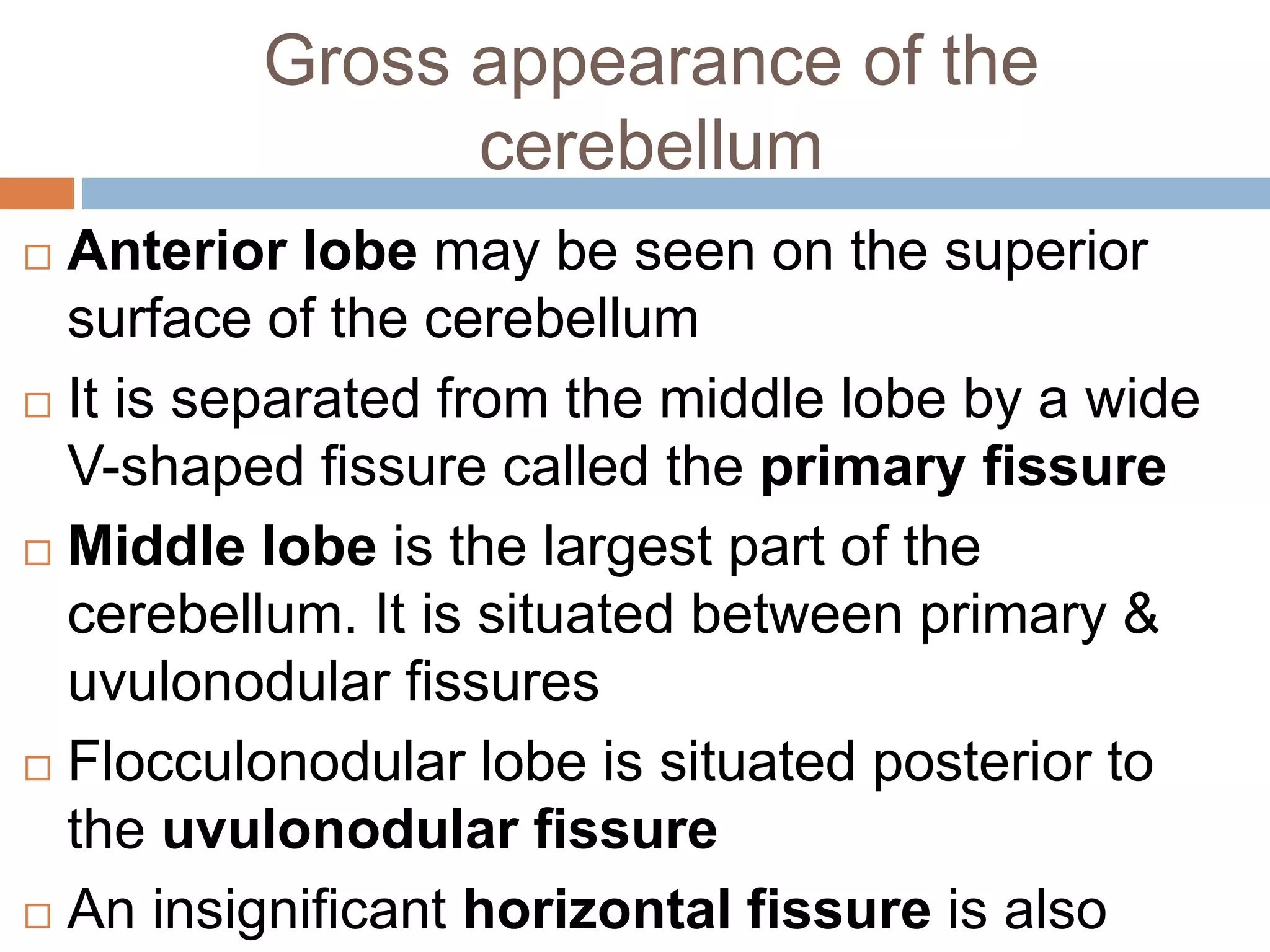 Cerebellum and its connections | PPTX