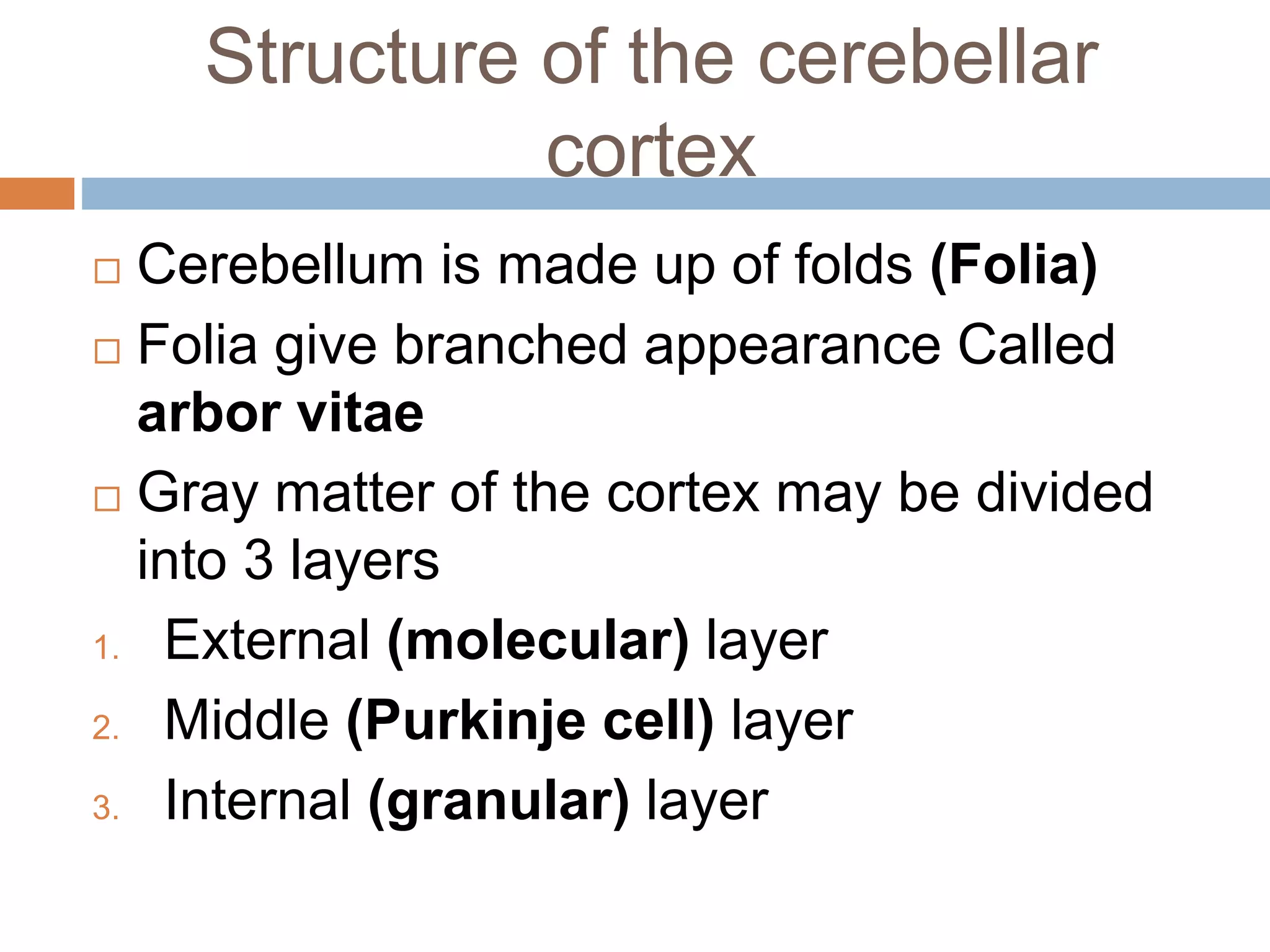 Cerebellum and its connections | PPTX
