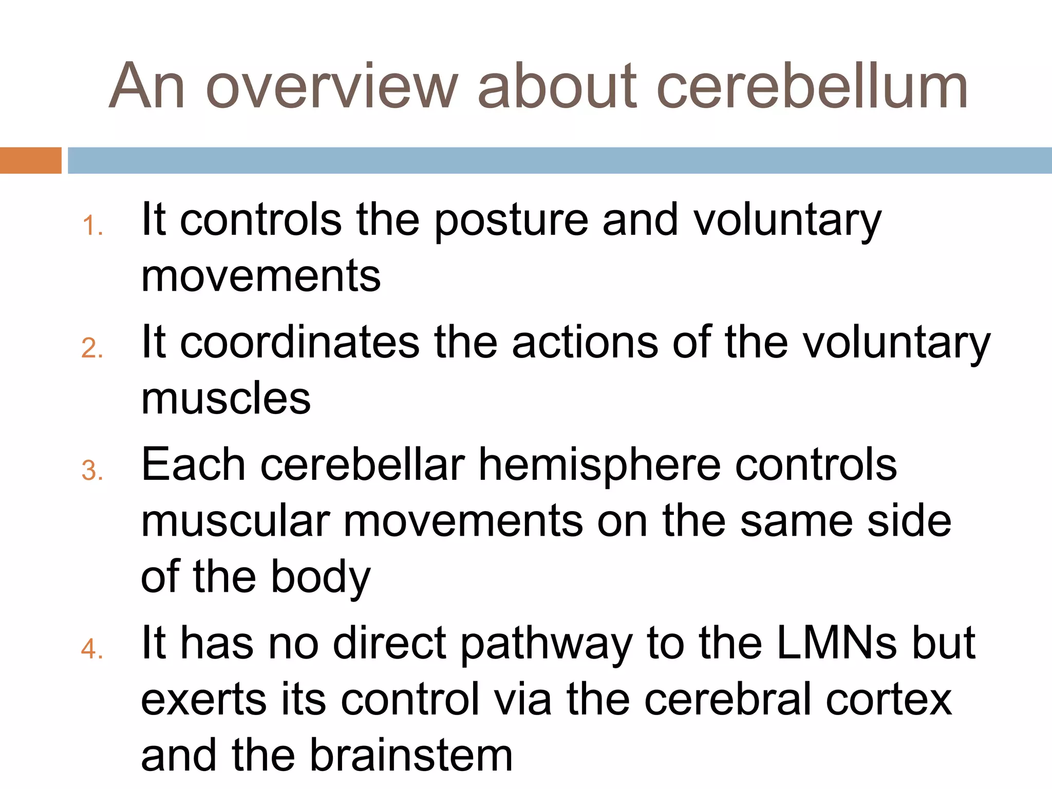 Cerebellum and its connections | PPTX