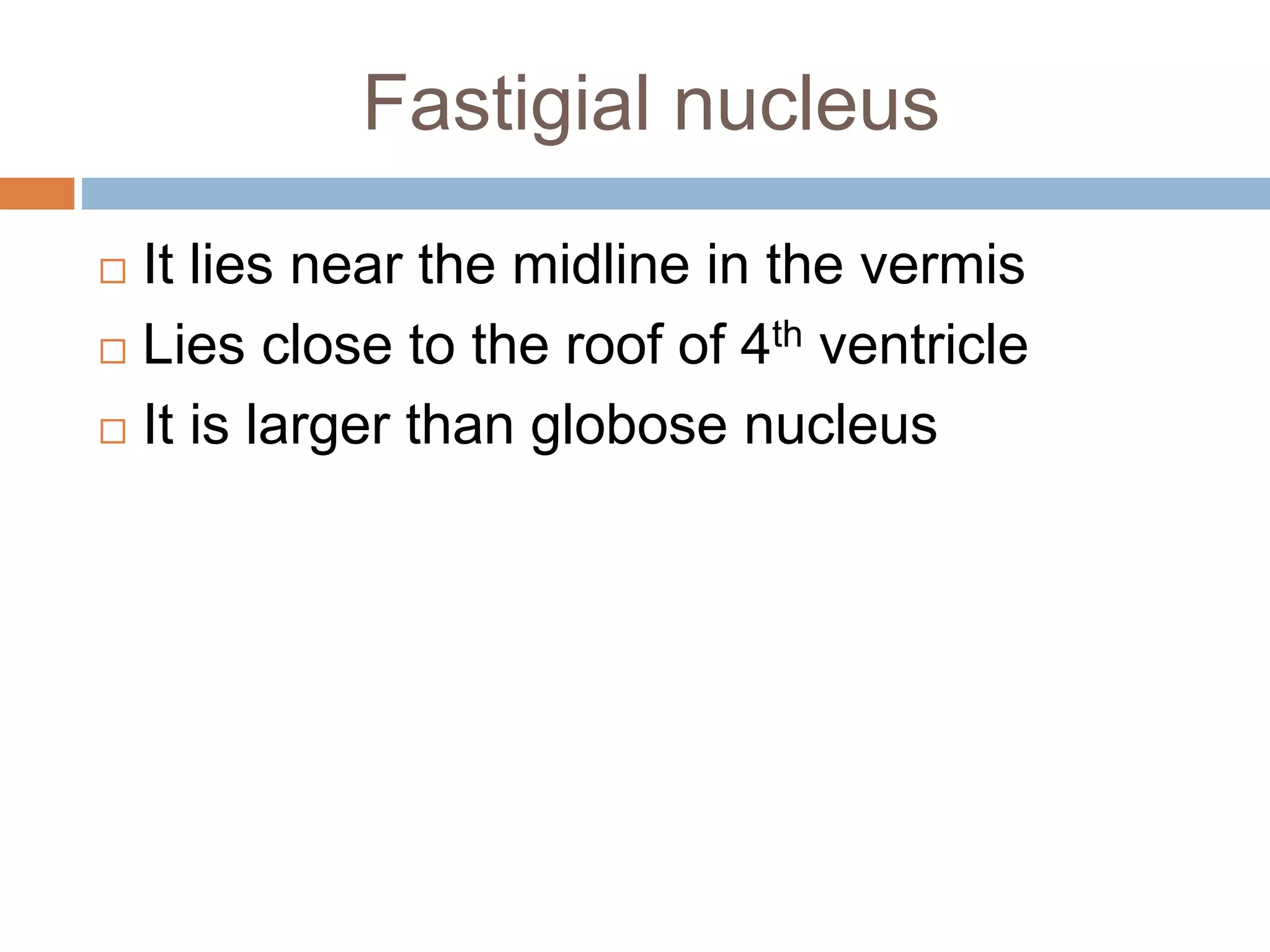 Cerebellum and its connections | PPTX