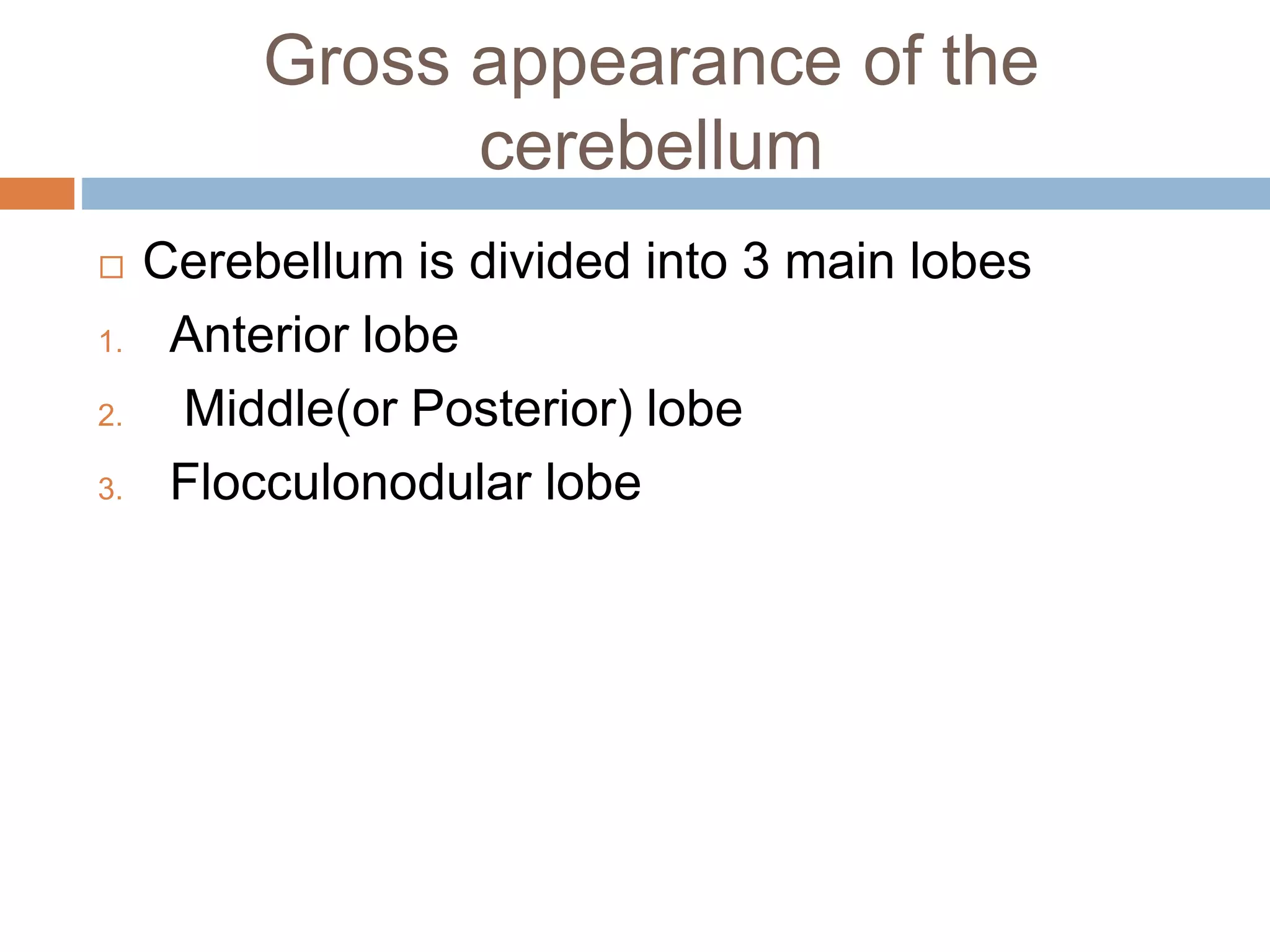 Cerebellum and its connections | PPTX