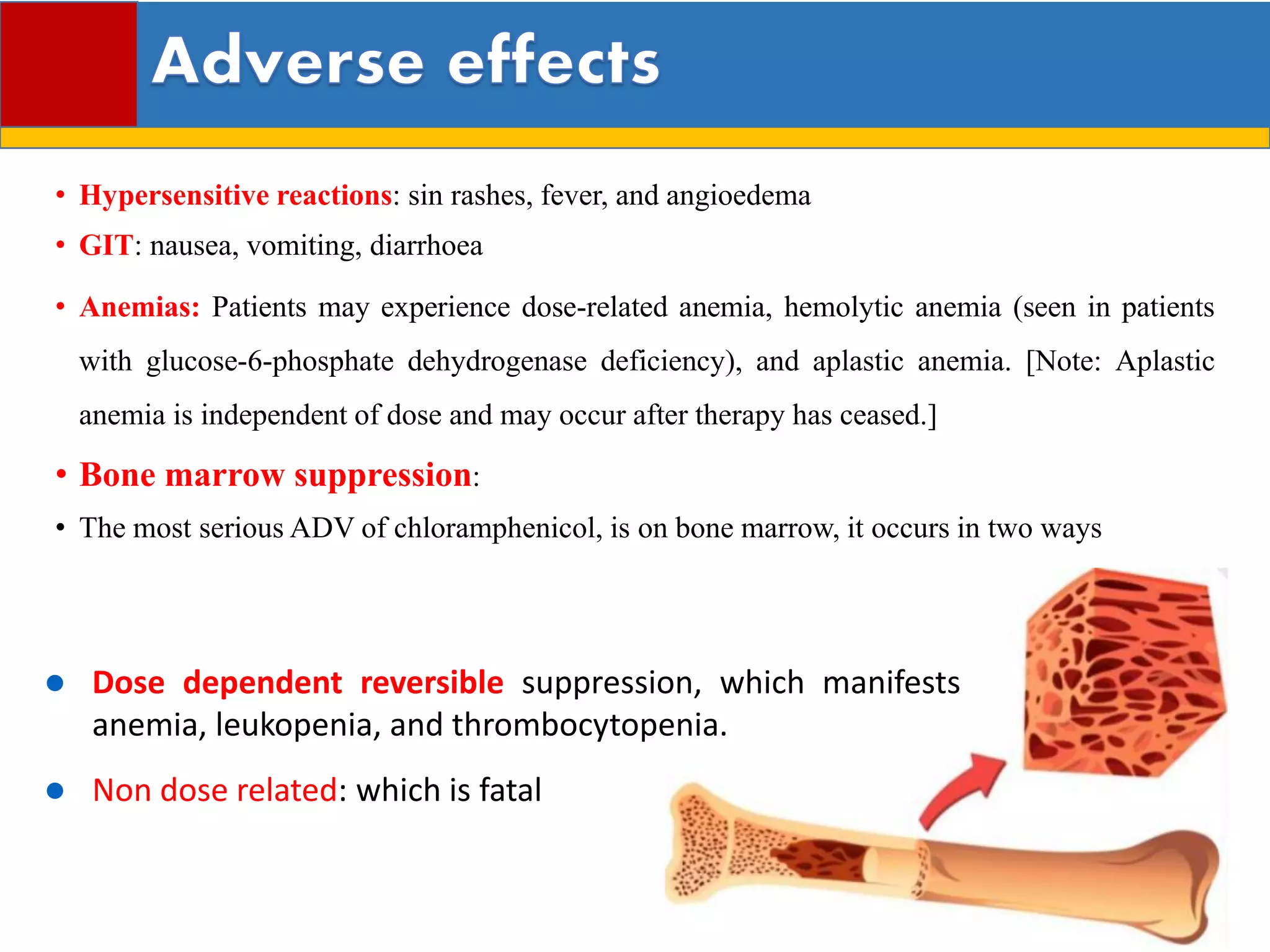 Chloramphenicol | PPTX