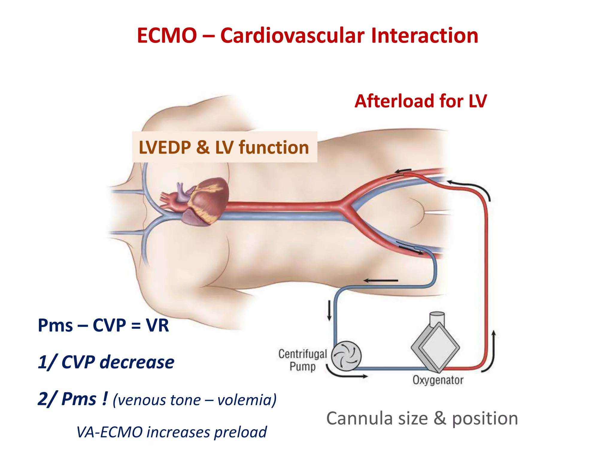 15. hemodynamic monitoring during ecmo #beach2019 (bouchez) | PPTX | Heart and Cardiovascular ...