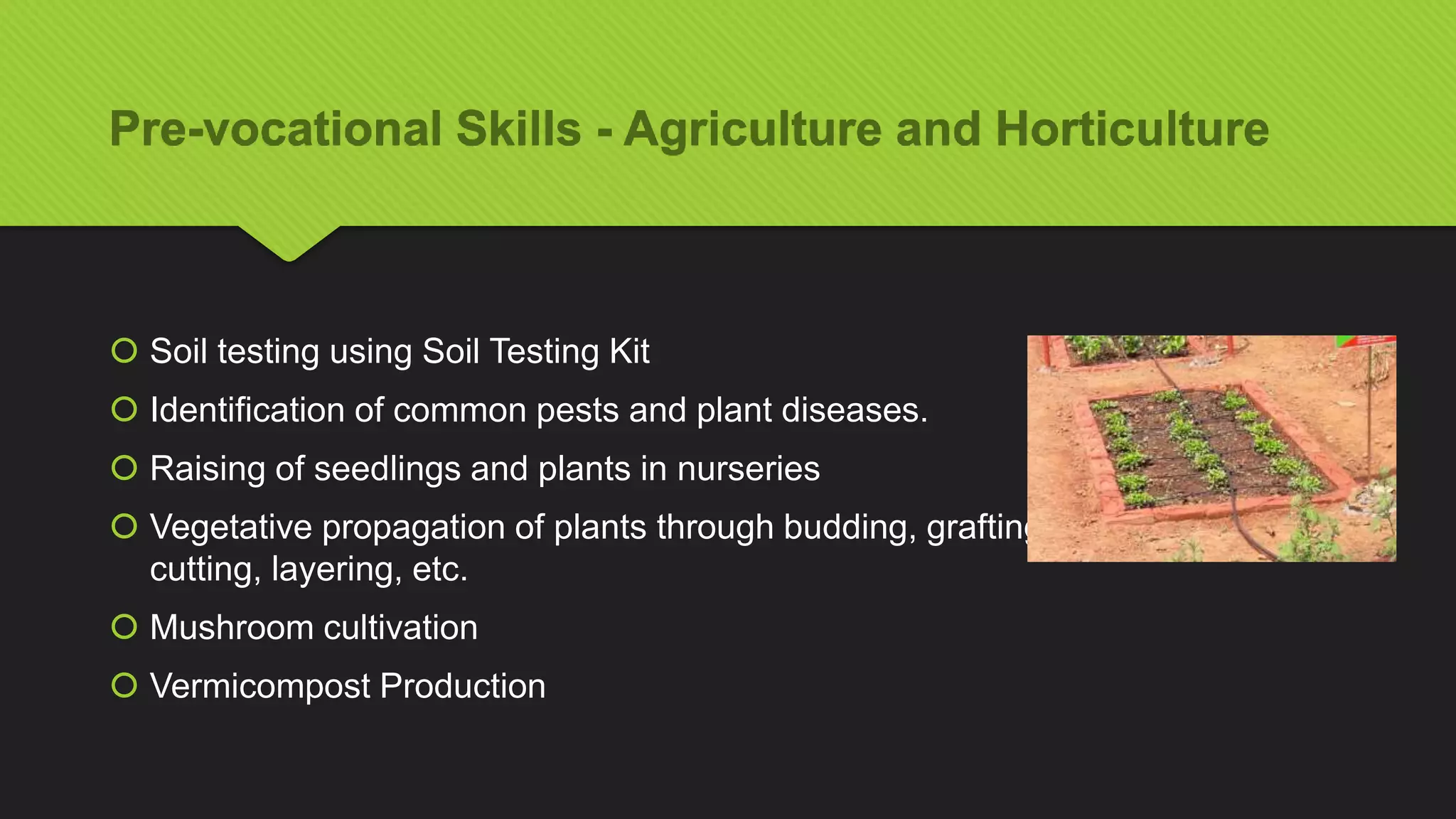 Module 15: Pre-Vocational Education | PPTX