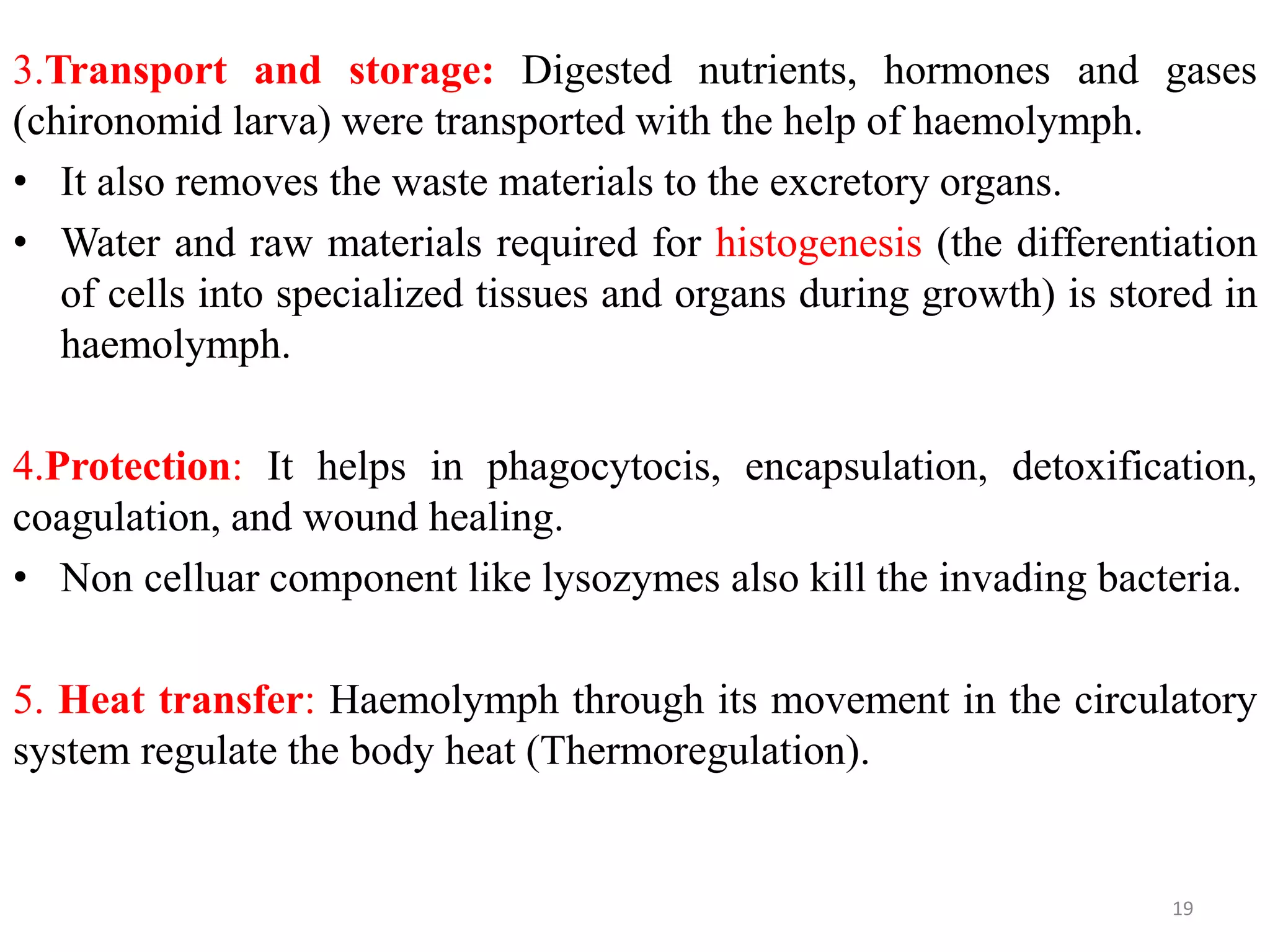 Circulatory system in insects | PPTX