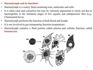 Circulatory system in insects | PPT