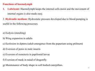 Circulatory system in insects | PPT