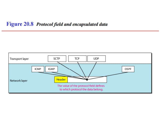SYBSC IT COMPUTER NETWORKS UNIT IV Network Layer-IP | PPT