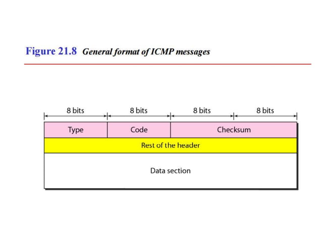 SYBSC IT COMPUTER NETWORKS UNIT IV Network Layer-IP | PPT