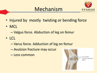 15. Knee ligament injury | PPTX
