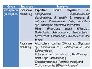 biofertilizers and biopesticides | PPT