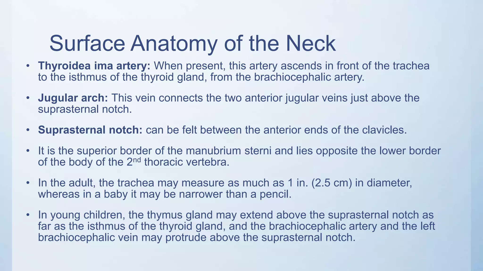 Radiographic Anatomy of the Head and Neck | PPTX