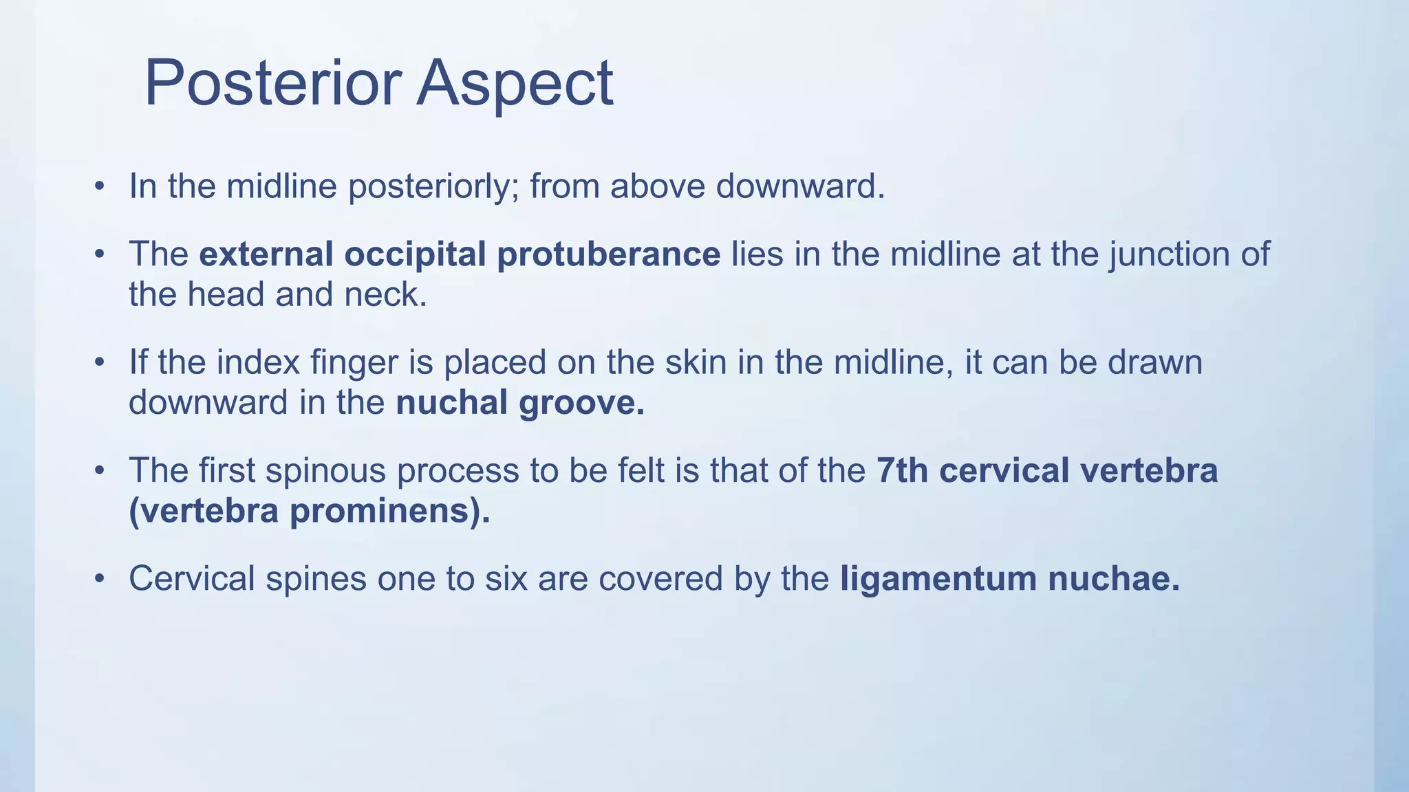 Radiographic Anatomy of the Head and Neck | PPTX