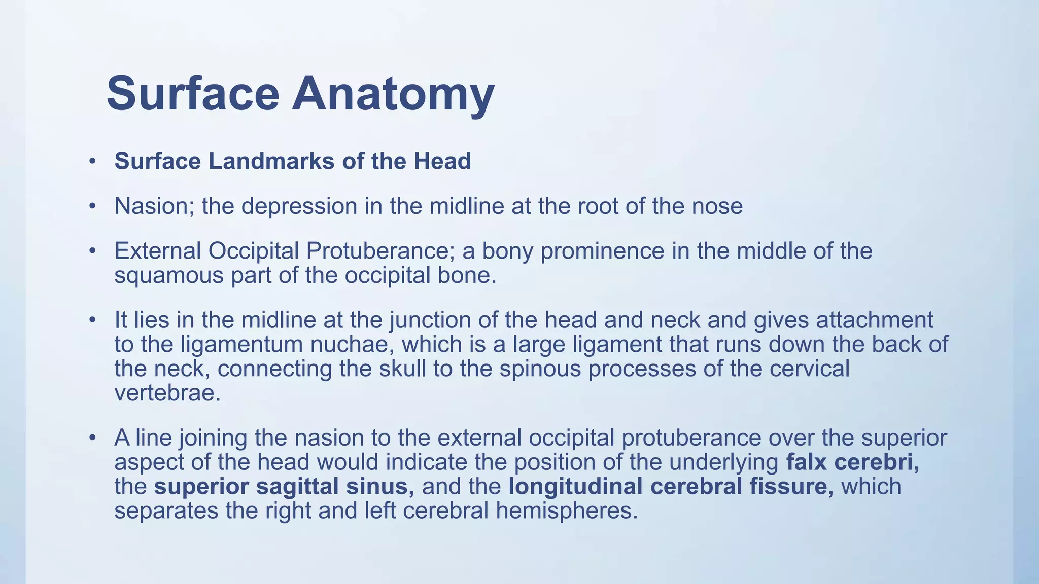 Radiographic Anatomy of the Head and Neck | PPTX